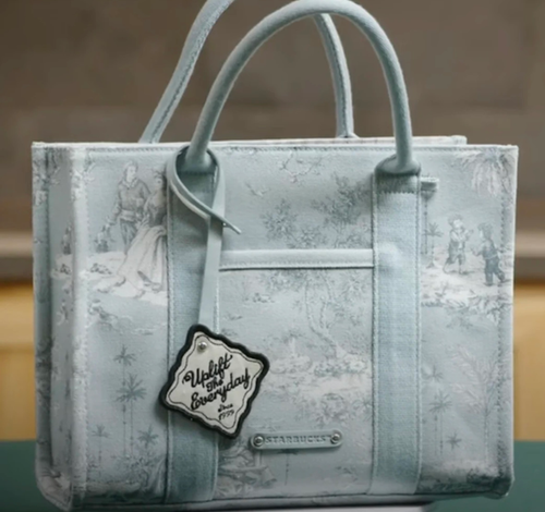 Korea Summer 1 2024 Bag | Pandaroo Unique