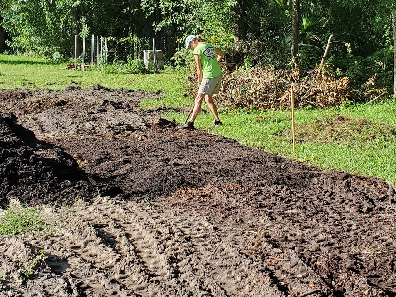 Native Plant Information Sheets | VISTA Gardens