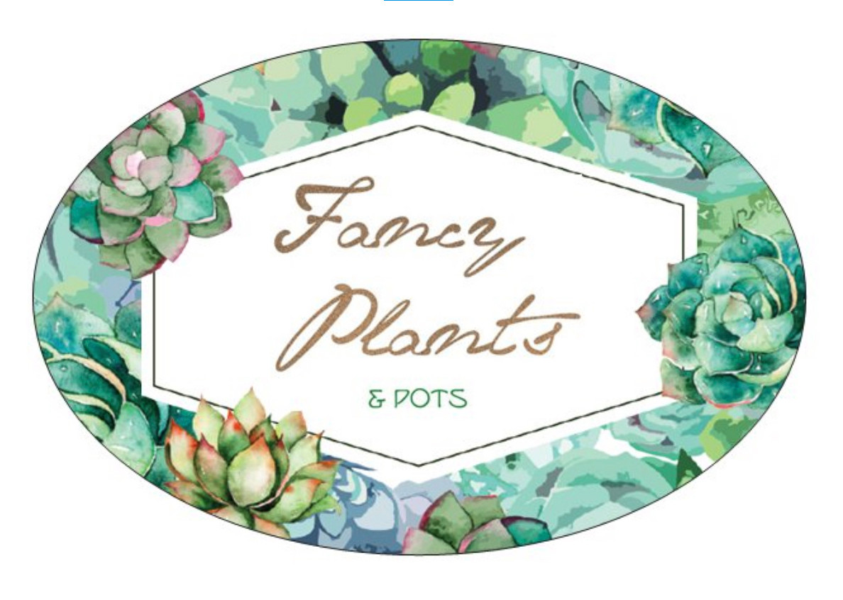 FAQ | Fancy Plants