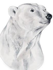 poppa bear | redmoongardens1.com