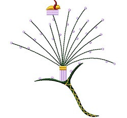 rest stop for bees flower | redmoongardens1.com