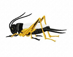 flying cricket | redmoongardens1.com