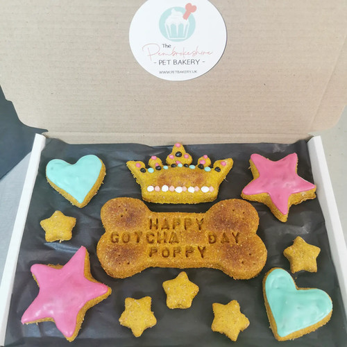 Special Occasion Cookies | TPPB