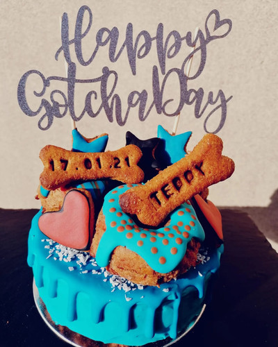 Gotcha Day Celebration Cake | TPPB