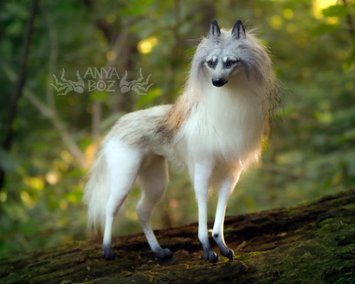 Ash Wolf Room Guardian | mysite