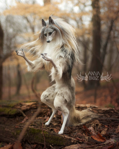 Merlin Wolf Room Guardian | mysite