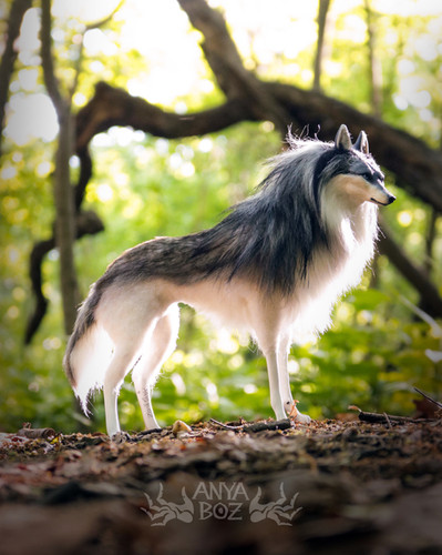 Blue Wolf Room Guardian | mysite