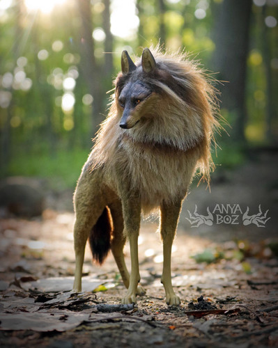 Red Wolf Room Guardian | mysite