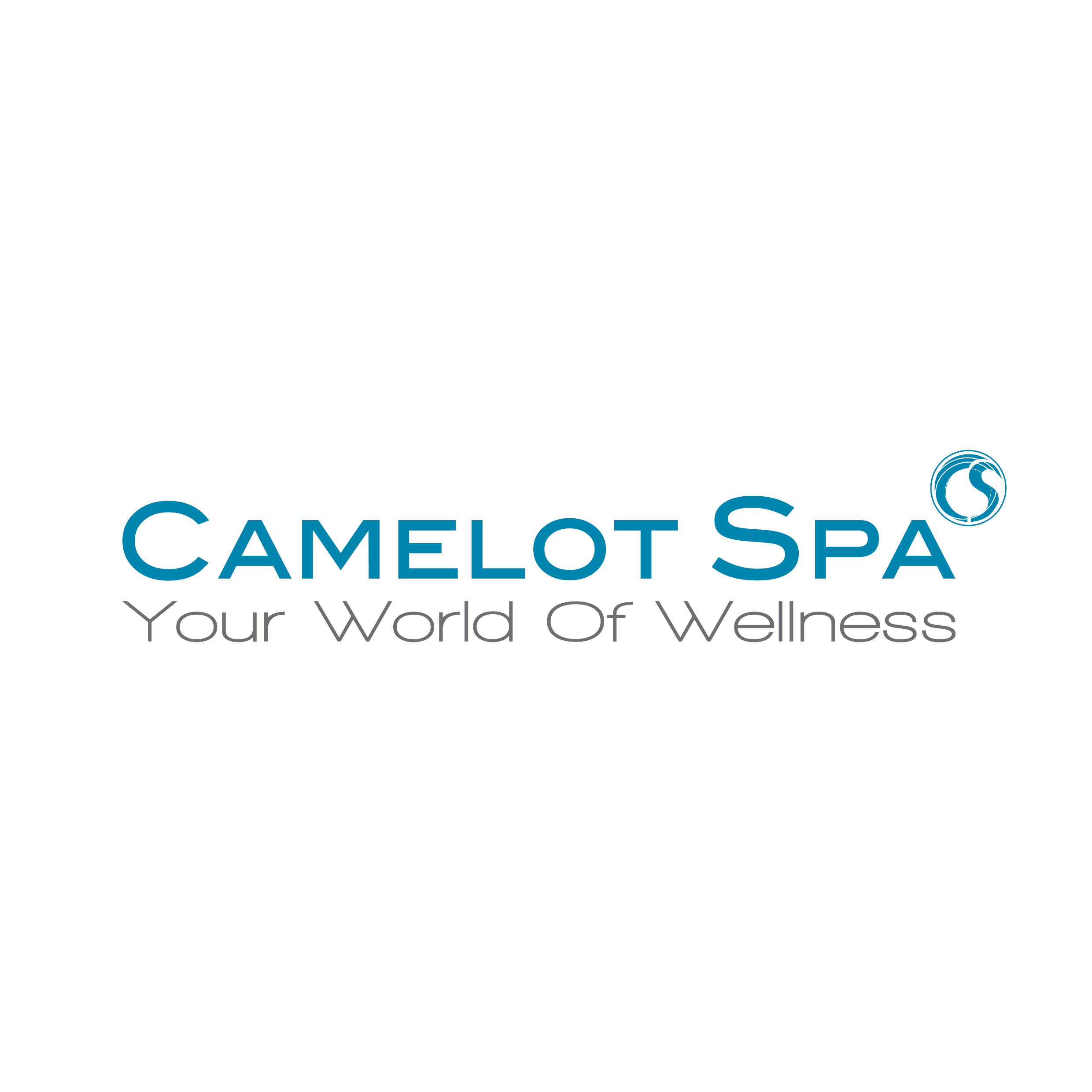 Camelot Group Logo Camelot Management Consultants