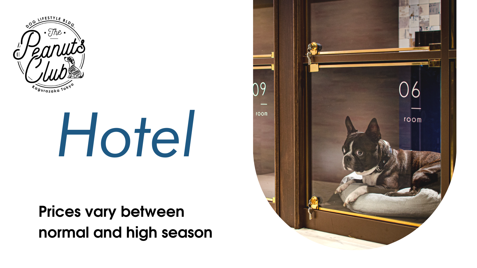 ホテル | PEANUTS CLUB