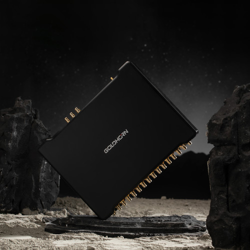 Goldhorn DSP16 ULTRA DSP | Mod House USA