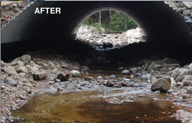 Stream Smart: nature-based problems, climate-resilient solutions