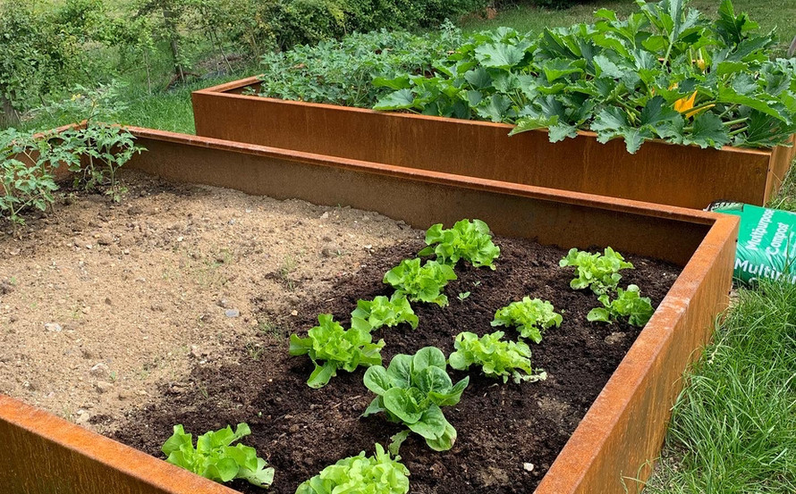 Raised vegetable beds | Cambridge Corten