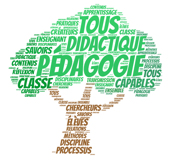 Didactique et pédagogie en bref