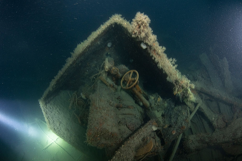 Loss of HMS Hawke and 78 Royal Marines Light Infantry
