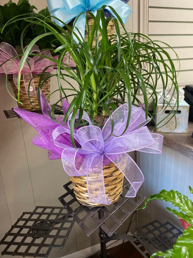 Alene's Florist | fresh flowers | 1206 S Chestnut St, Lufkin, TX 75901, USA