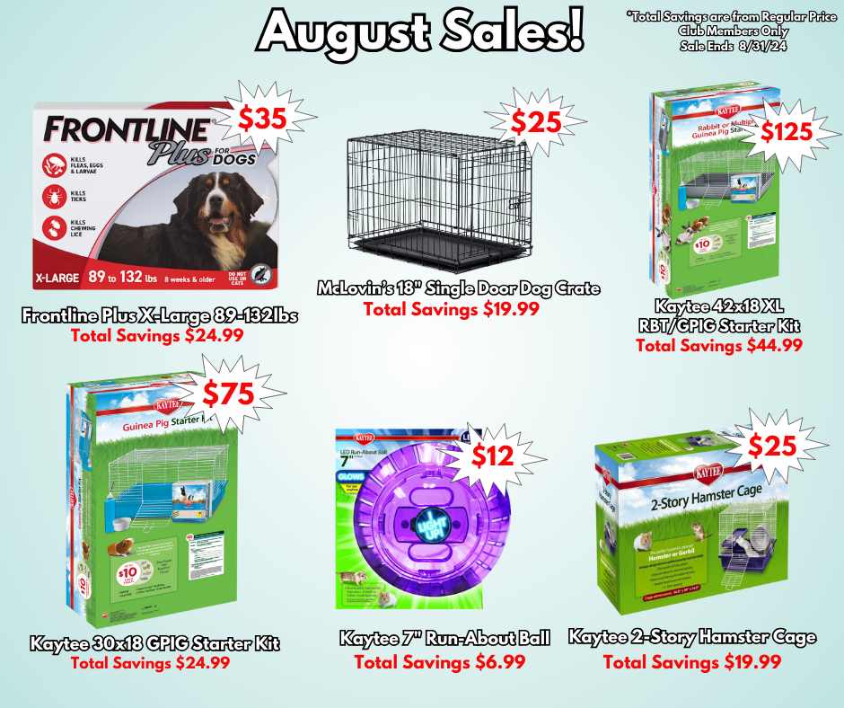 Pets and Pet Supplies SALE | ALL PETS CLUB