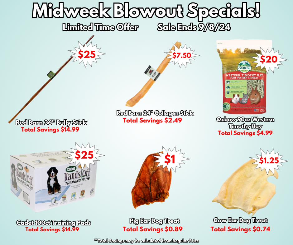 Pets and Pet Supplies SALE | ALL PETS CLUB