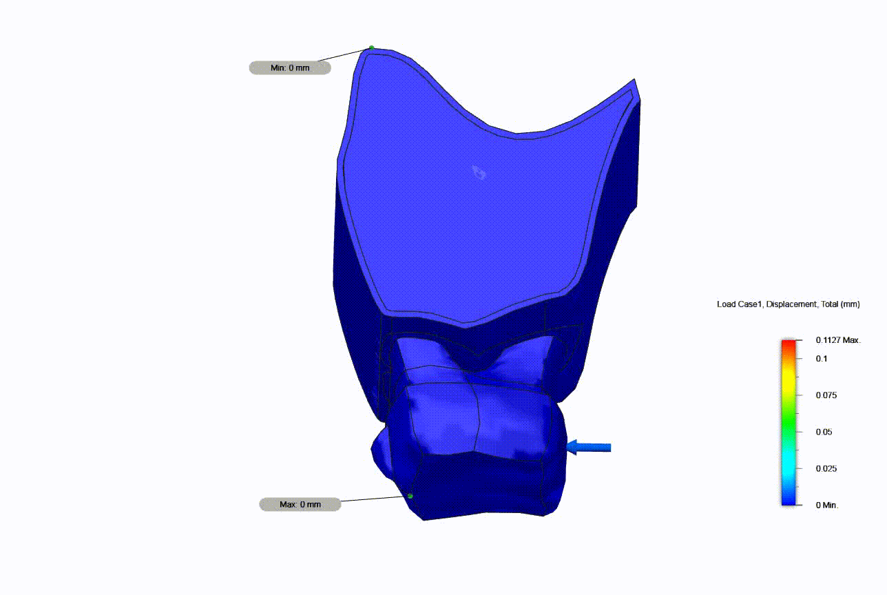 Relationship between Bone Apposition in the Compression Zone and the ...