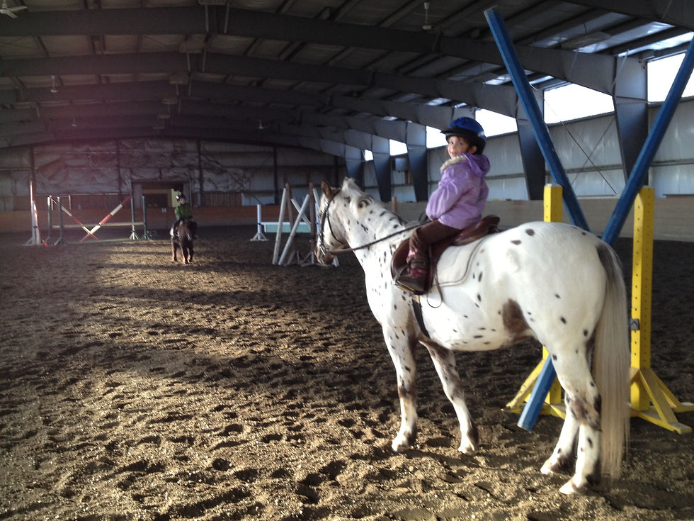 Susie Morgan Riding Instructor Horse riding lessons Palmer AK