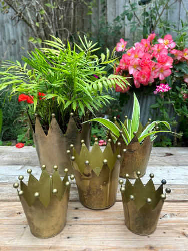 Set Of 5 Crown Planters - Gold | Guest Homeware