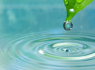 Lankem Surfactants | Biobased | United Kingdom