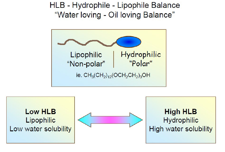 The HLB Concept