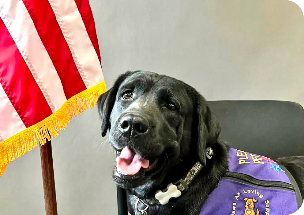 Paws as Loving Support Assistance Dogs | Sonoma County, CA