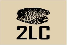 2LC Detailing | Mobile Detailing | Midland/Odessa