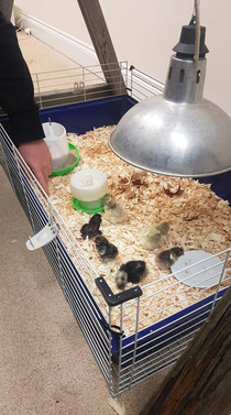 Gallery | Reach Out Caring