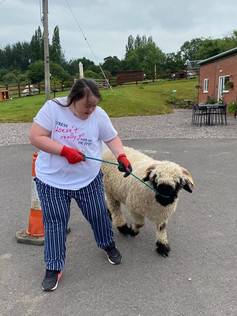 Gallery | Reach Out Caring