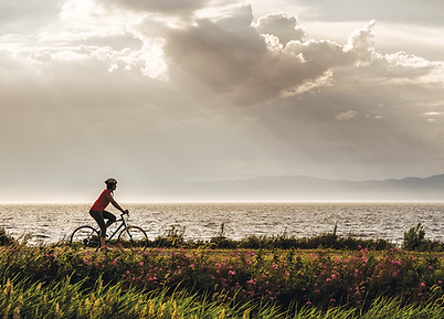 Nos filiales | Groupe LSL Pharma