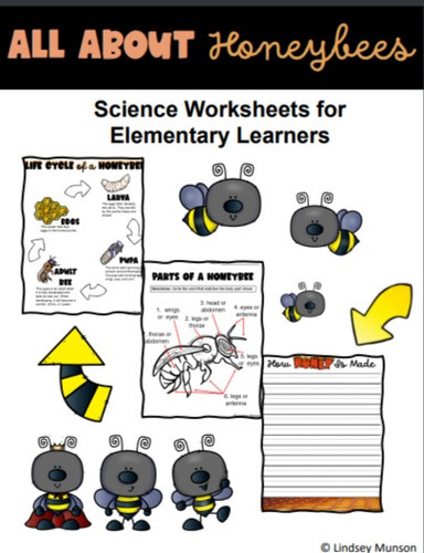 All About Bees Worksheets for Elementary Learners | Educreation Station