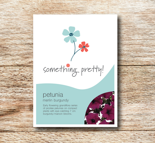 Petunia Merlin Burgundy Seeds | Something Pretty