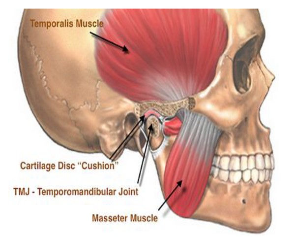 Treatment for Jaw Pain & TMJ Pain