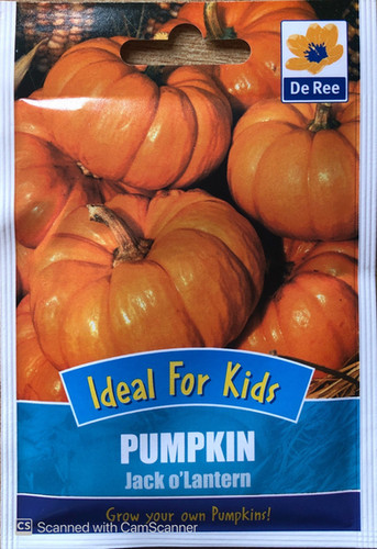 Pumpkin Jack O'Lantern (De Ree Seeds) | Elm Tree