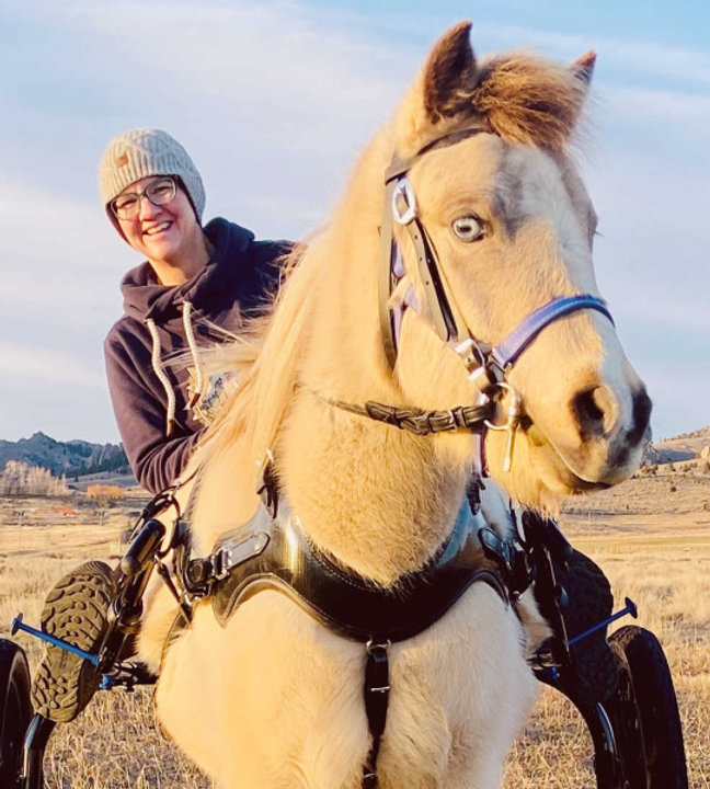 Why, oh why, do I harness the way I do?