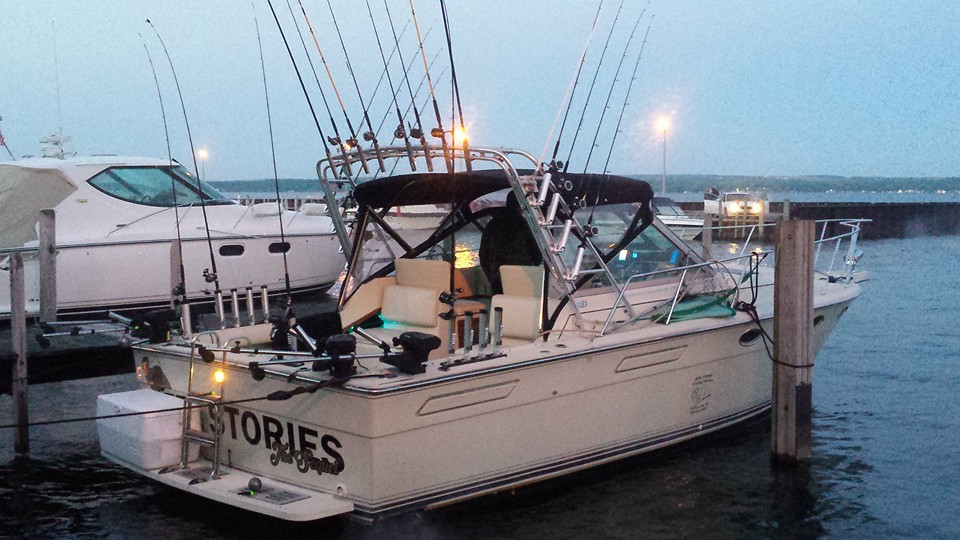 Reel Stories: The Sequel | Reel Stories Fishing Charters