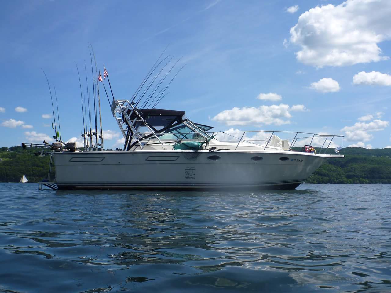 Reel Stories: The Sequel | Reel Stories Fishing Charters