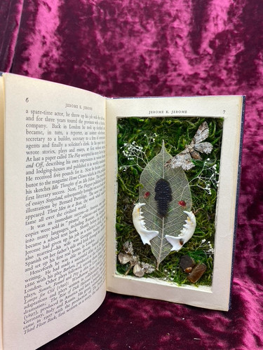 Isopod Book Terrarium | memanchi