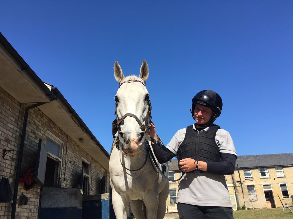 Roy Rocket, 2010-2021