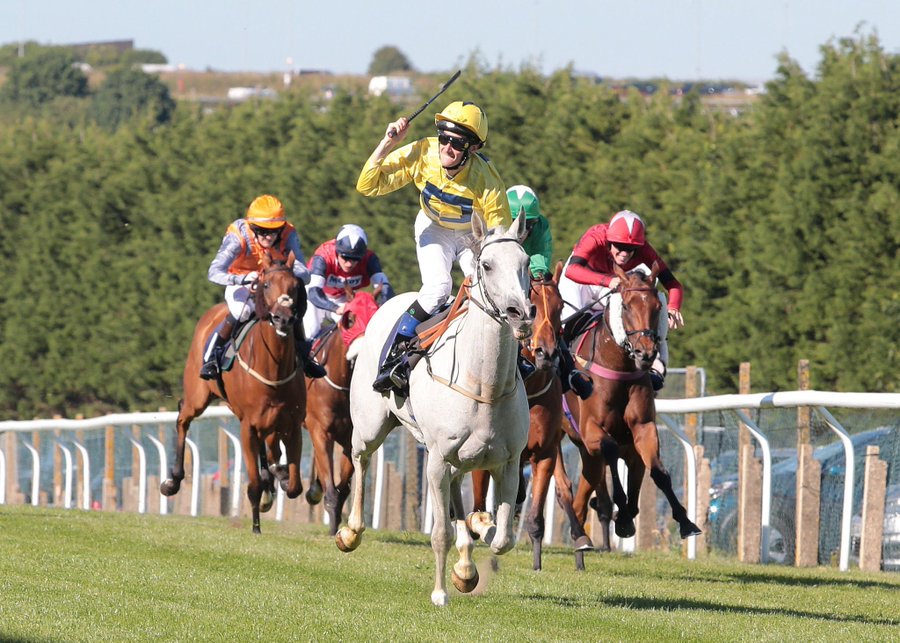 Roy Rocket, 2010-2021