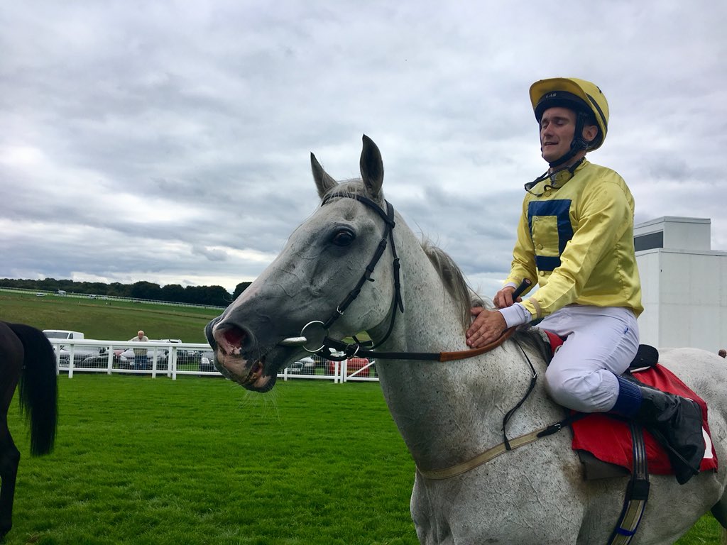 Roy Rocket, 2010-2021