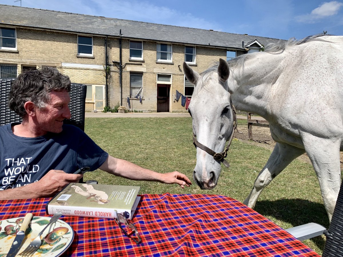 Roy Rocket, 2010-2021