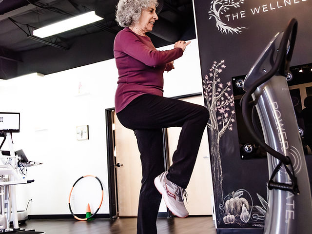 physical wellness lab