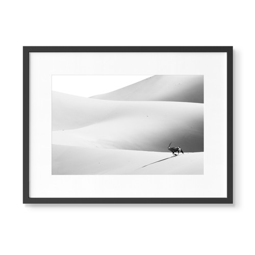 SHADES OF GREY | William Steel