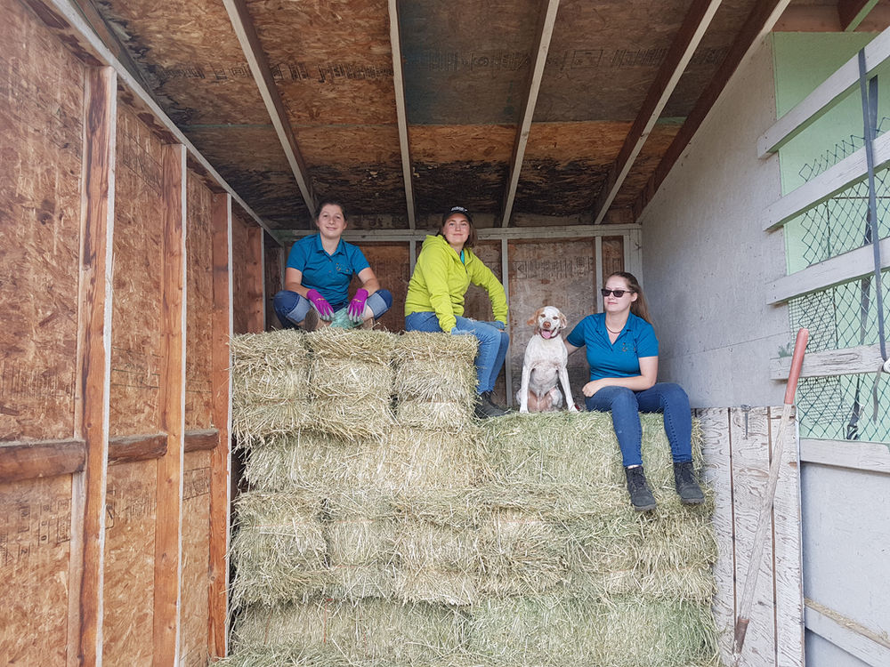 BARN KIDS SOCIAL LEARNING PROGRAM