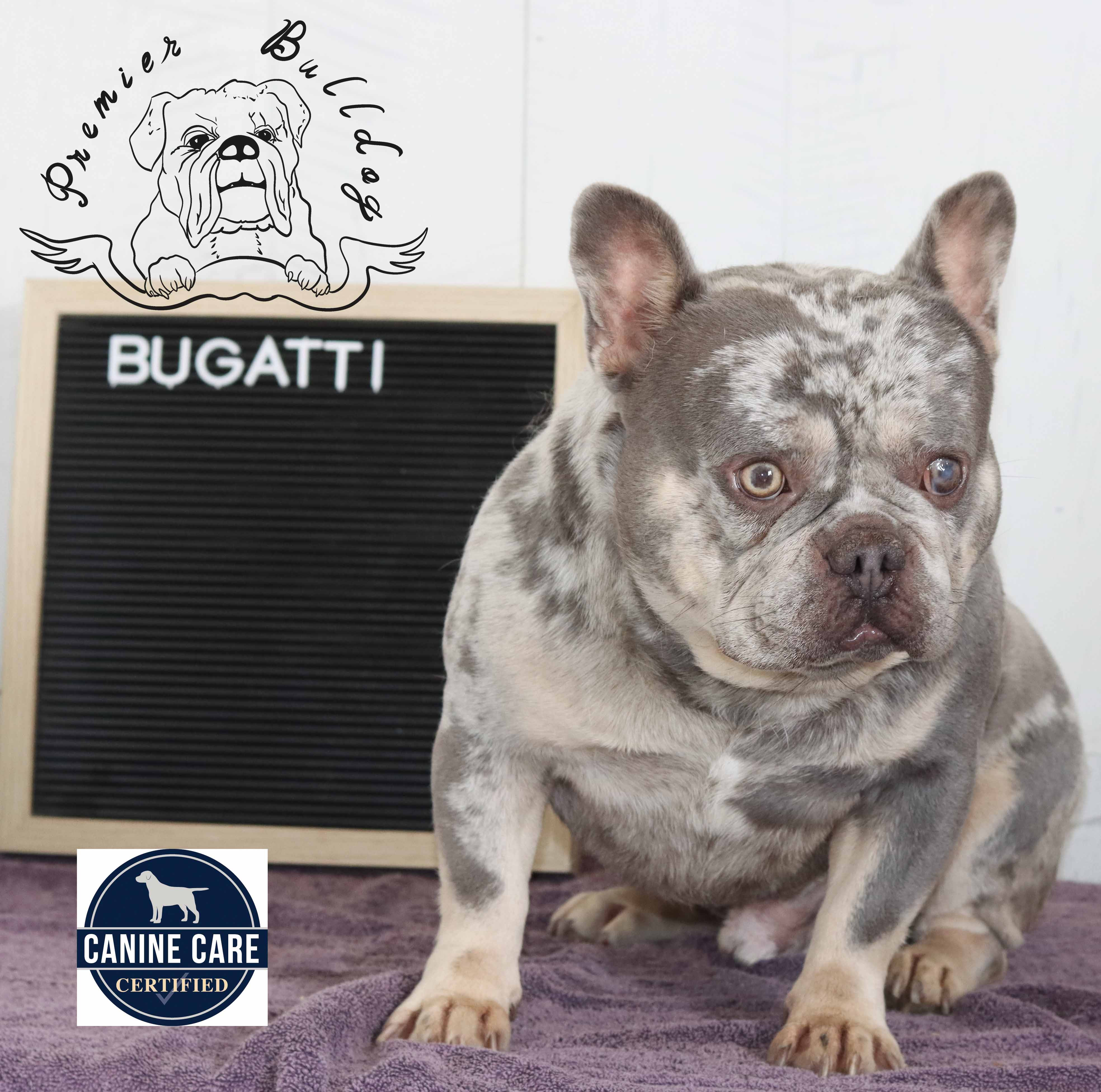 Buggatti