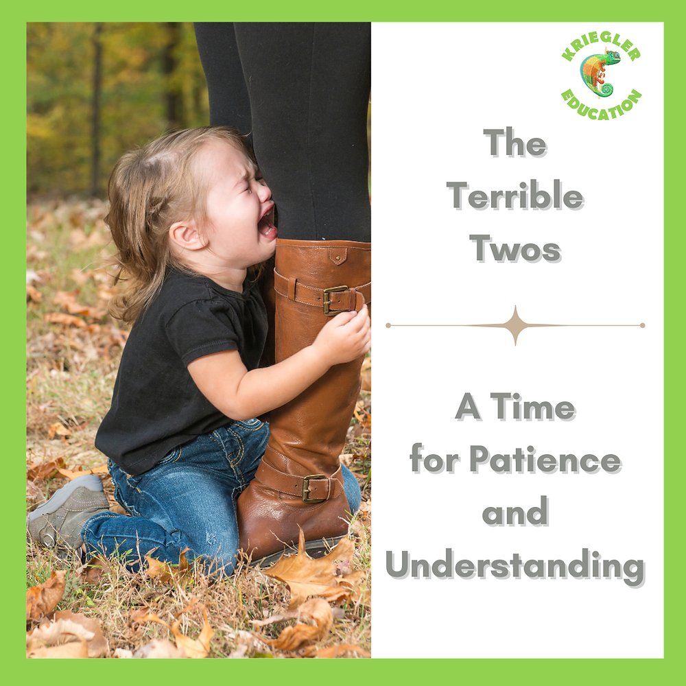 Navigating the Terrible Twos