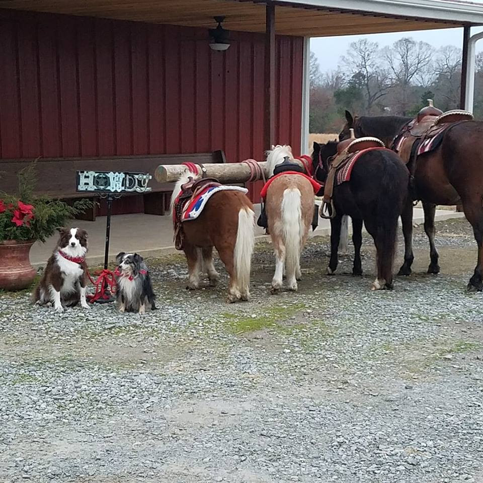 WATCH | Whispering Pines